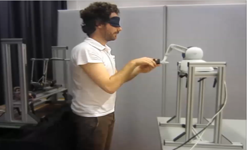 Reverse engineering the hallucination process – Early Career ...